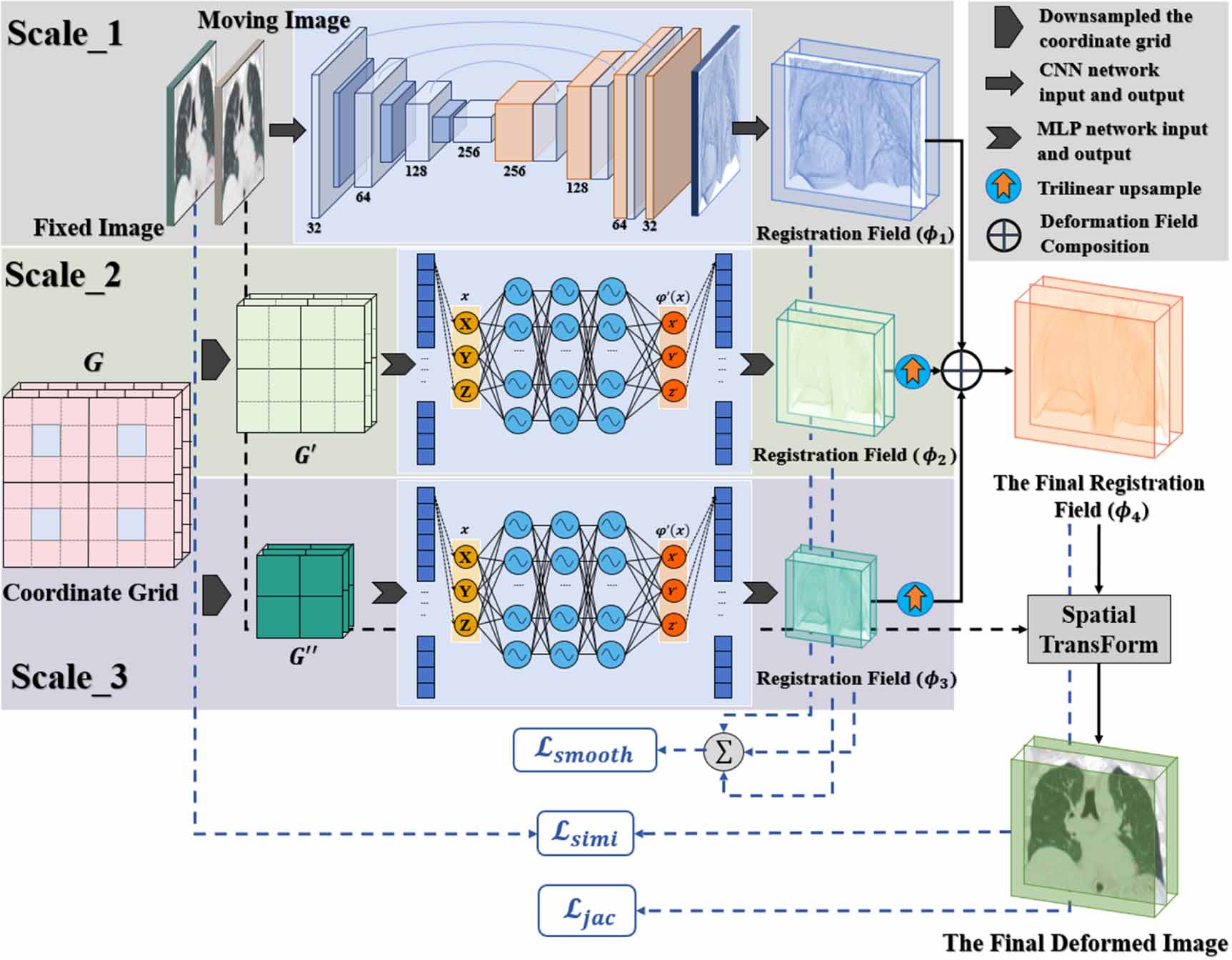 MS-HIENet: multi-scale hybrid implicit-explicit registration network ...