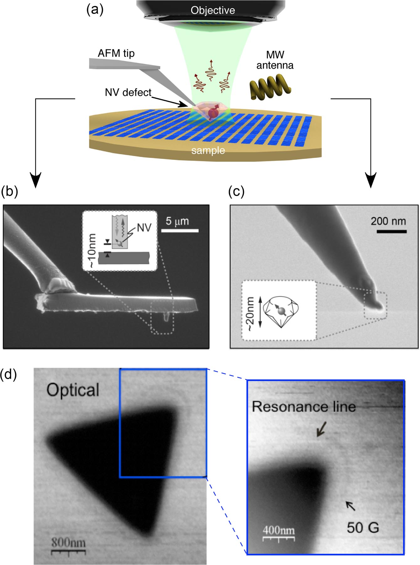 Magnetometry with nitrogen-vacancy defects in diamond - IOPscience
