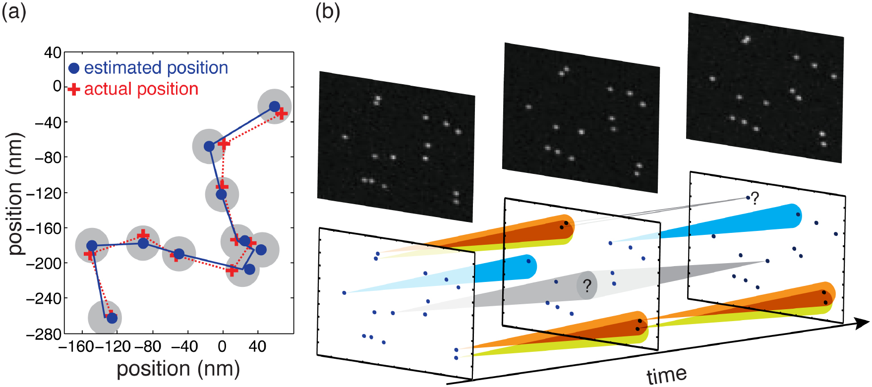 A review of progress in single particle tracking: from methods to ...