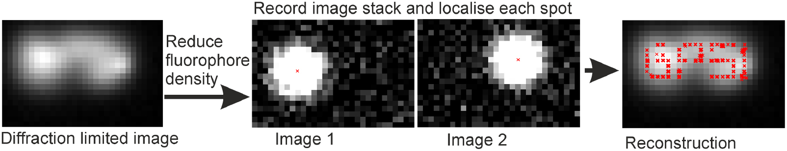 Single-molecule techniques in biophysics: a review of the progress in ...