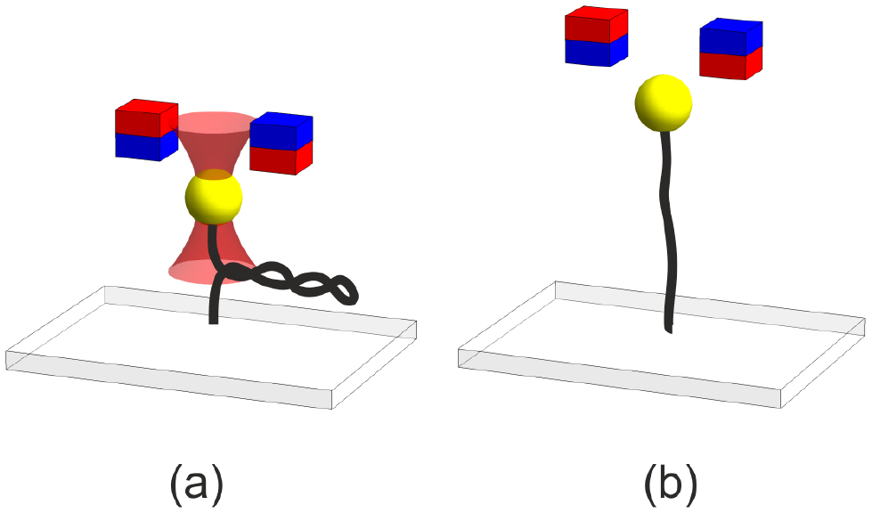 Single-molecule techniques in biophysics: a review of the progress in ...