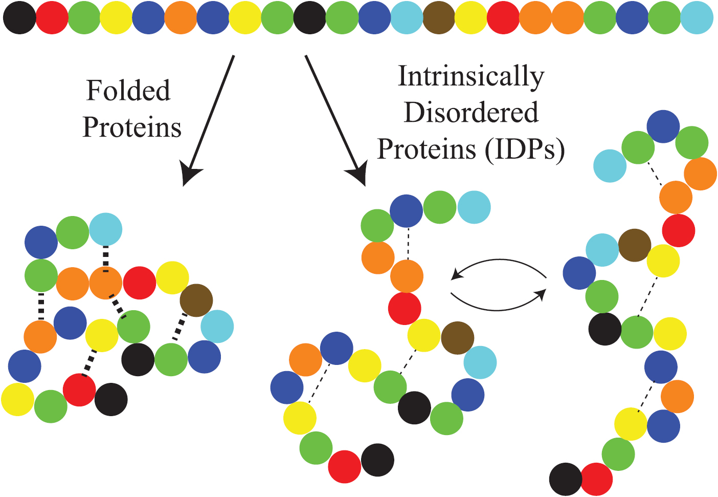 Physical principles of intracellular organization via active and ...