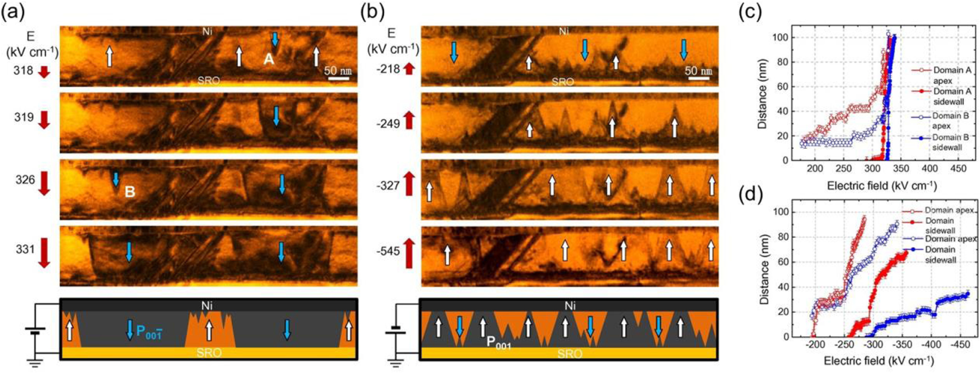 Real-time studies of ferroelectric domain switching: a review - IOPscience