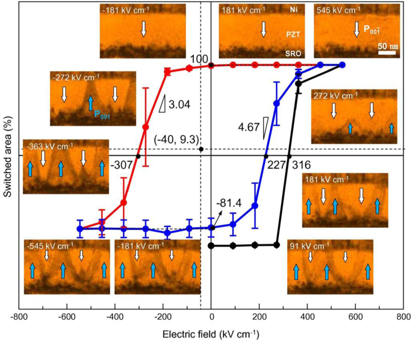 Real-time studies of ferroelectric domain switching: a review - IOPscience