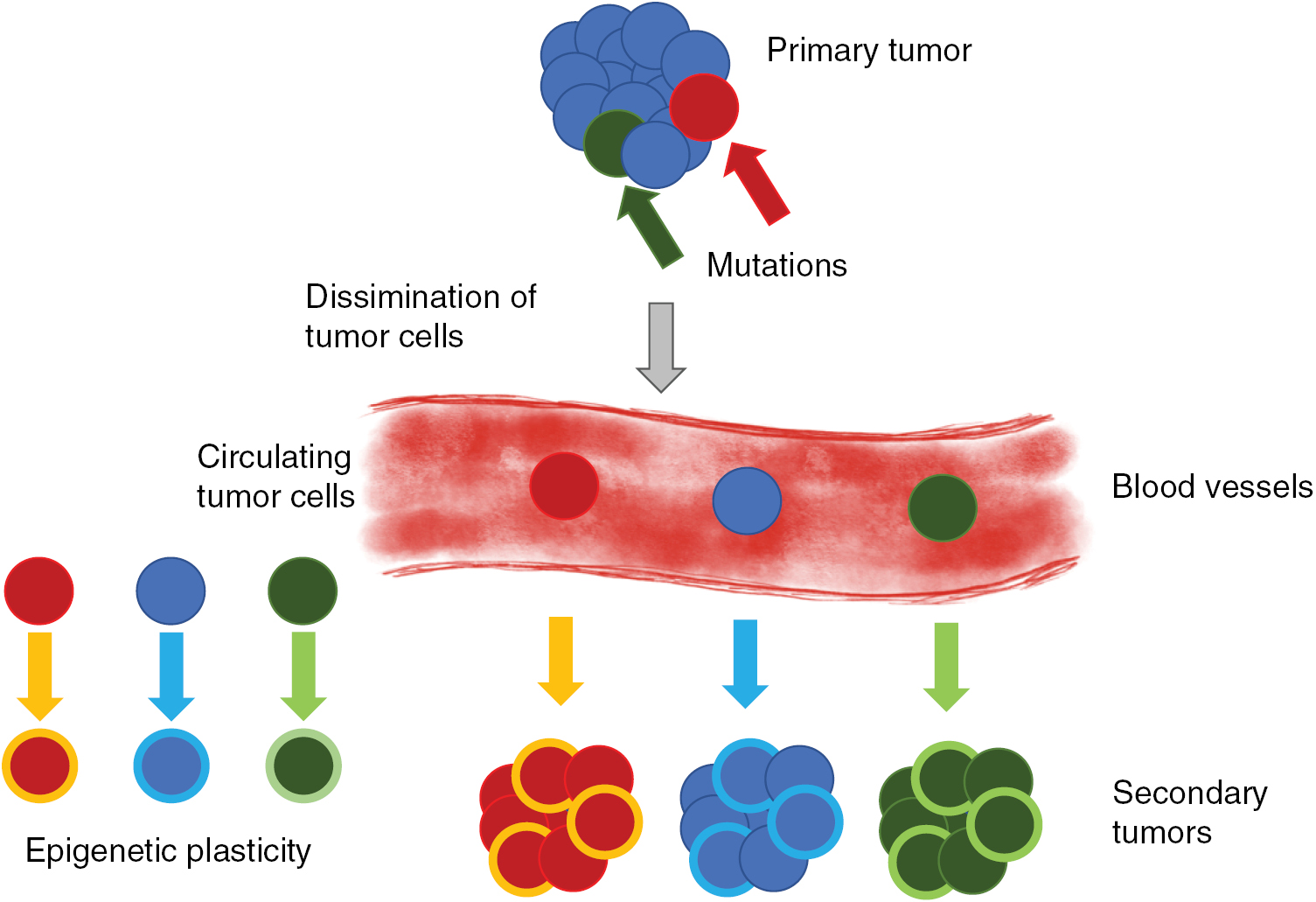 The matrix environmental and cell mechanical properties regulate cell ...
