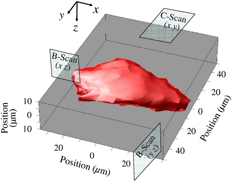 Two-photon interference: the Hong–Ou–Mandel effect - IOPscience