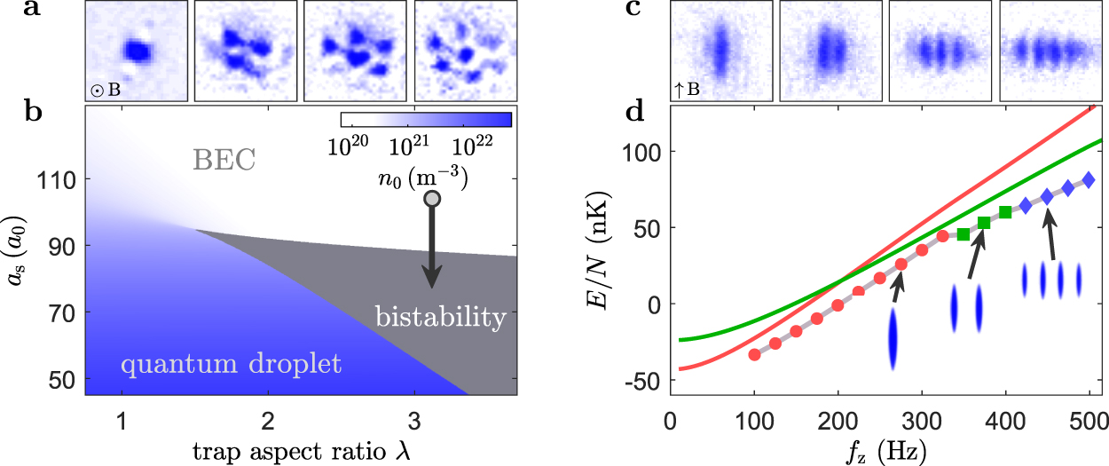 New states of matter with fine-tuned interactions: quantum droplets and ...