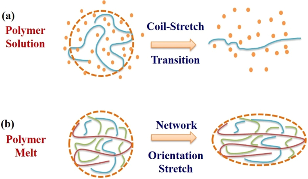 Polymer crystallization under external flow - IOPscience