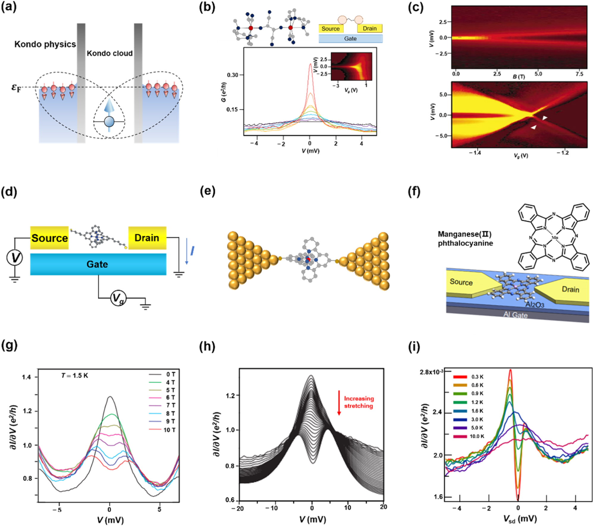 Single-molecule nano-optoelectronics: insights from physics - IOPscience