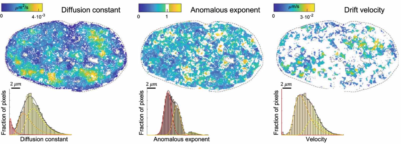 Heterogeneous anomalous transport in cellular and molecular biology - IOPscience