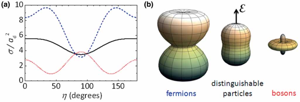 Dipolar physics: a review of experiments with magnetic quantum gases ...
