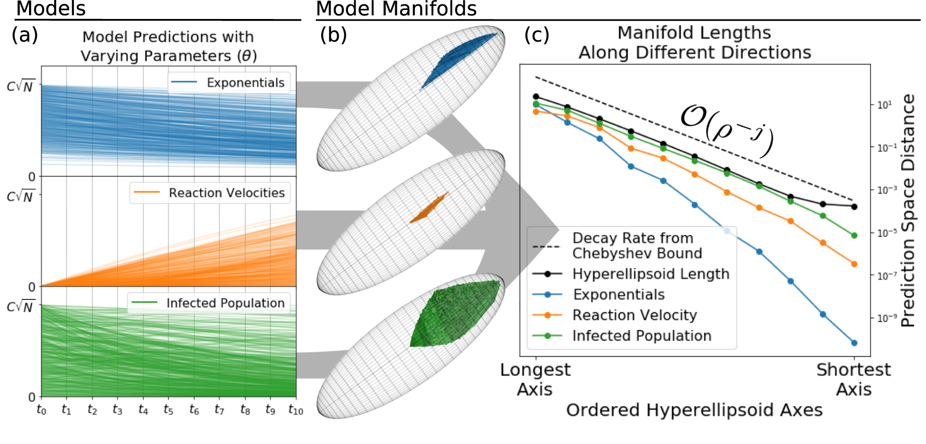 Information geometry for multiparameter models: new perspectives on the ...