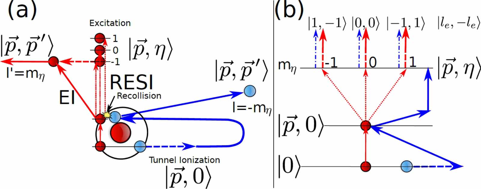 Strong–laser–field physics, non–classical light states and quantum ...