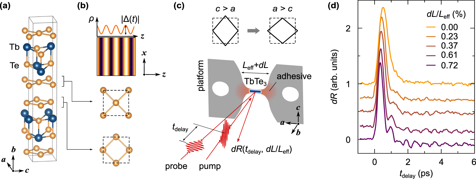 Emergent symmetry in TbTe3 revealed by ultrafast reflectivity under ...