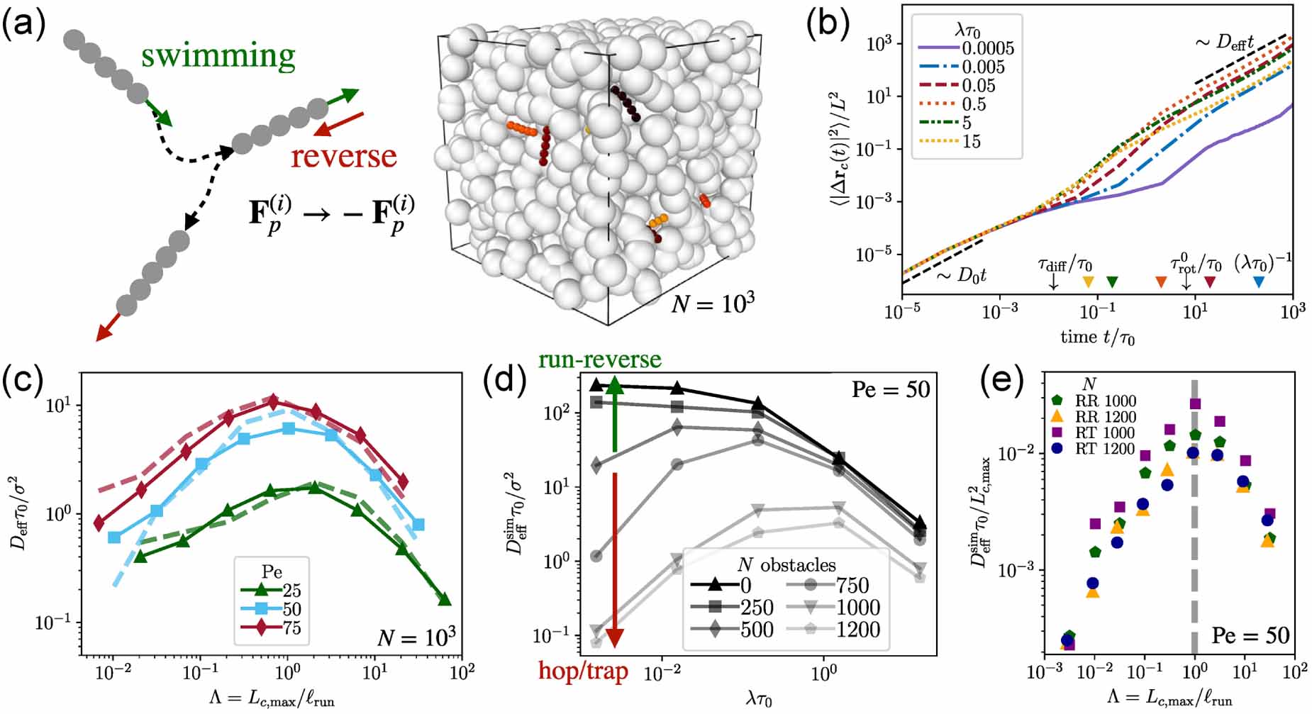 Non-equilibrium structural and dynamic behaviors of active polymers in complex and crowded ...