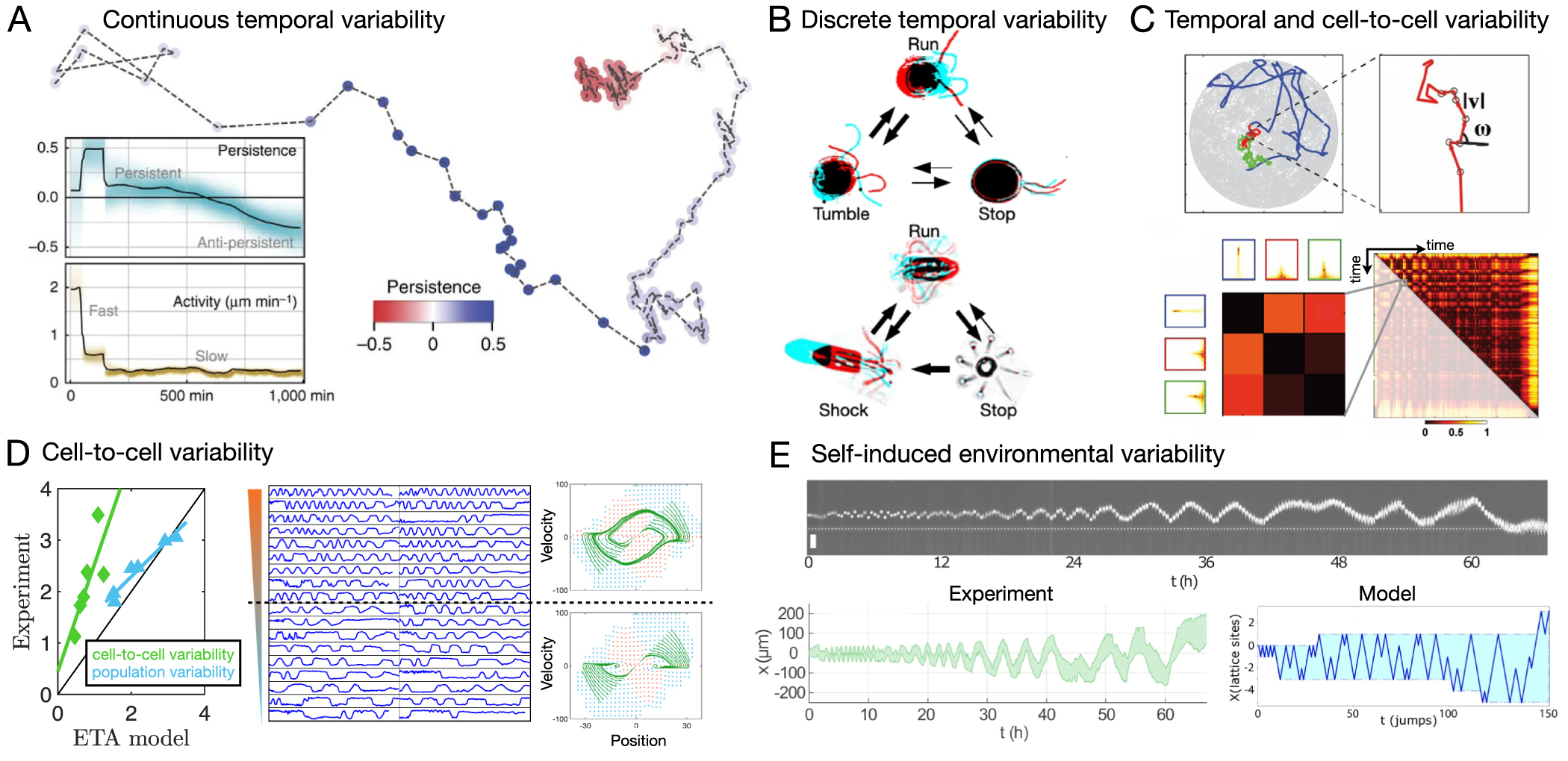 Learning dynamical models of single and collective cell migration: a review - IOPscience