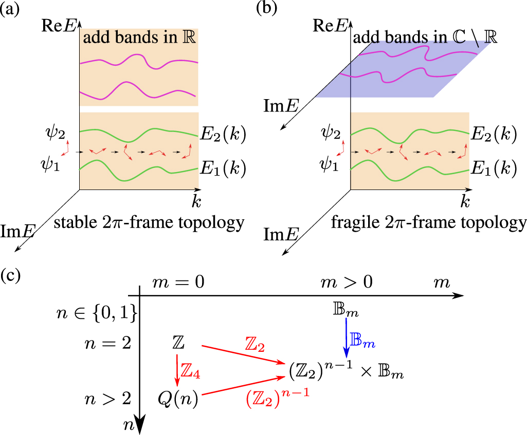 Homotopy, symmetry, and non-Hermitian band topology - IOPscience