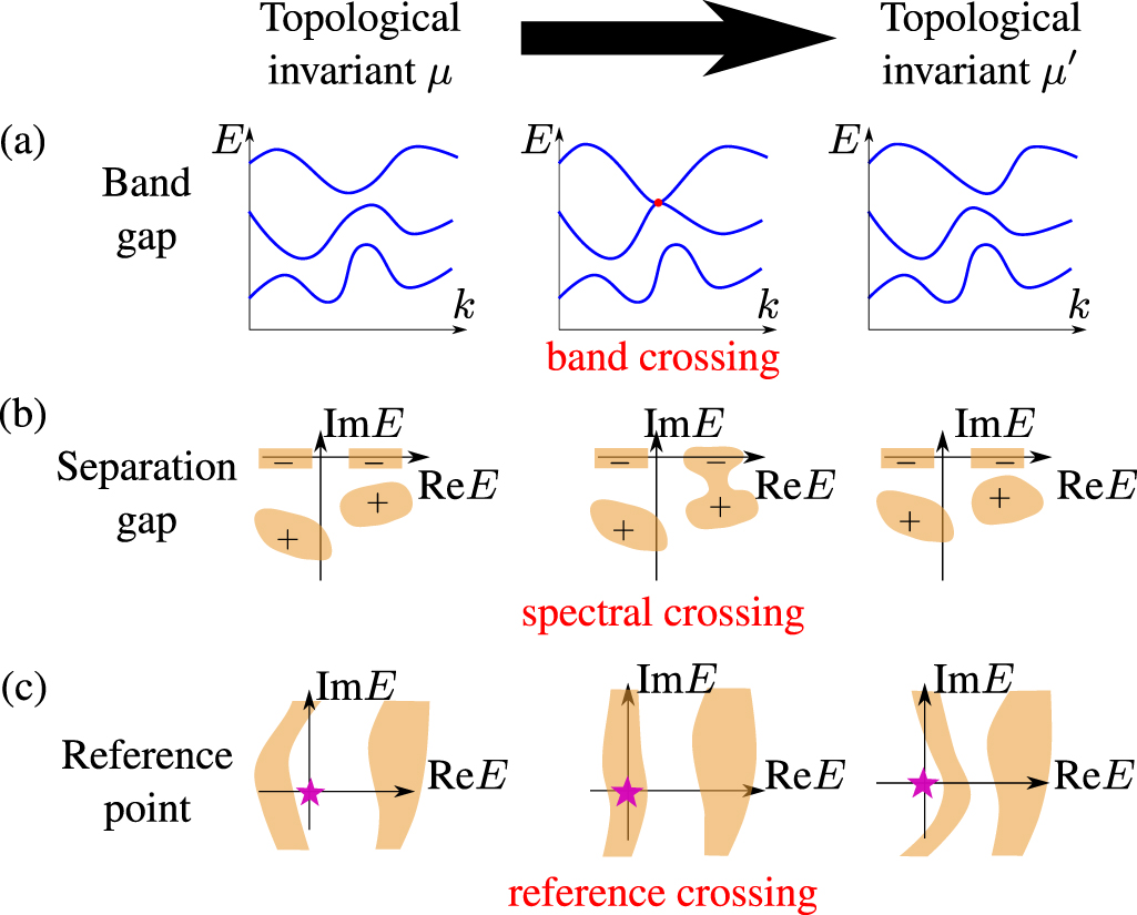 Homotopy, symmetry, and non-Hermitian band topology - IOPscience
