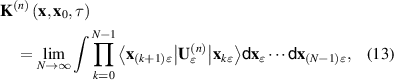 A simplex path integral and a simplex renormalization group for high ...