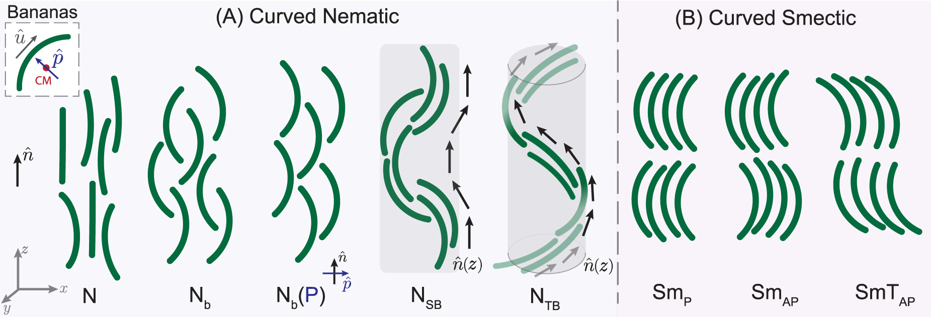 Liquid crystals from curved colloidal rods: waves, twists and more ...