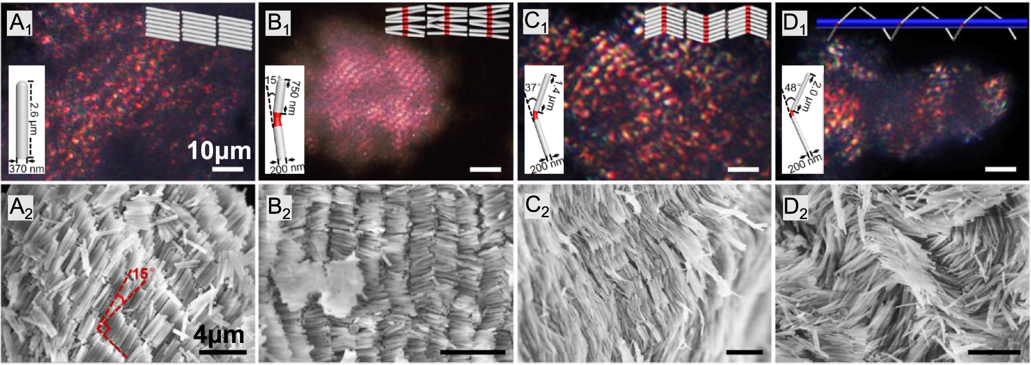 Liquid crystals from curved colloidal rods: waves, twists and more ...