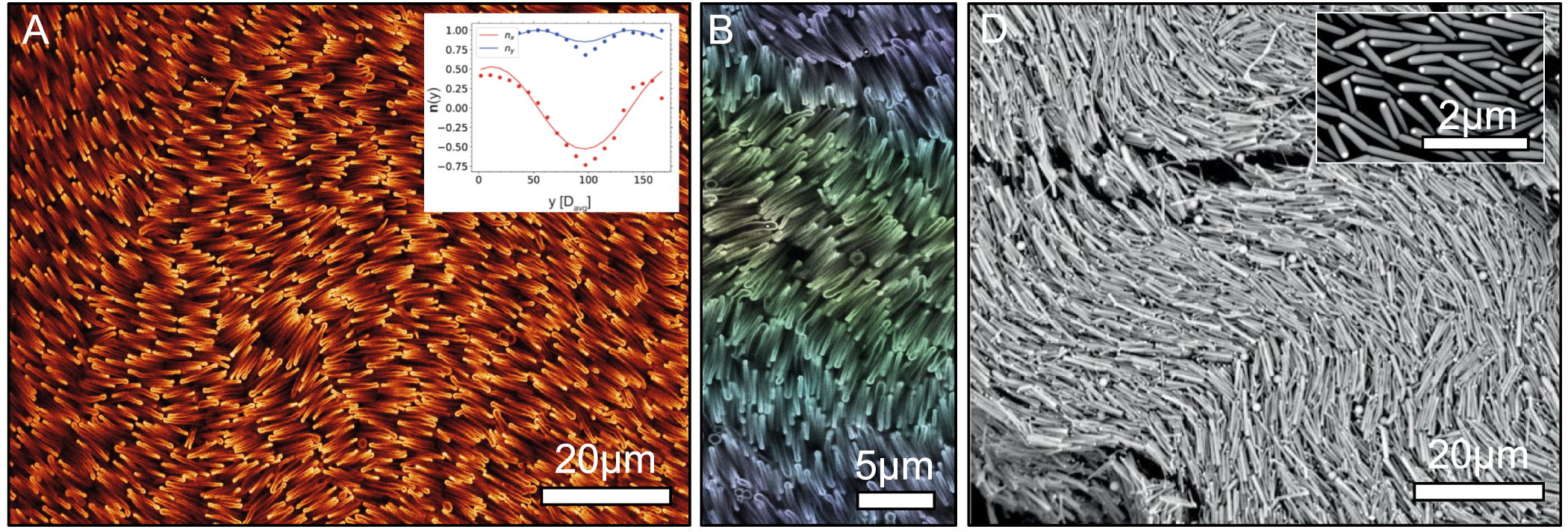 Liquid crystals from curved colloidal rods: waves, twists and more ...