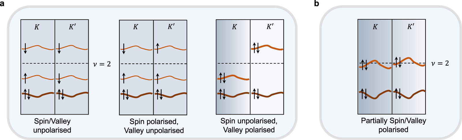 Emergent phases in graphene flat bands - IOPscience