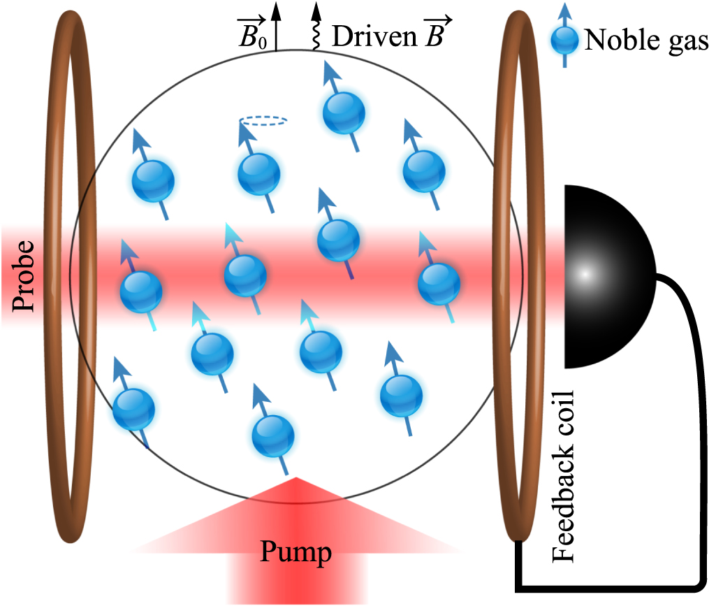 Searches for exotic spin-dependent interactions with spin sensors ...