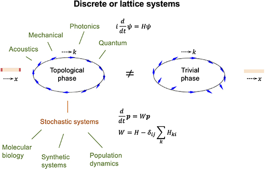 Topological phases in discrete stochastic systems - IOPscience
