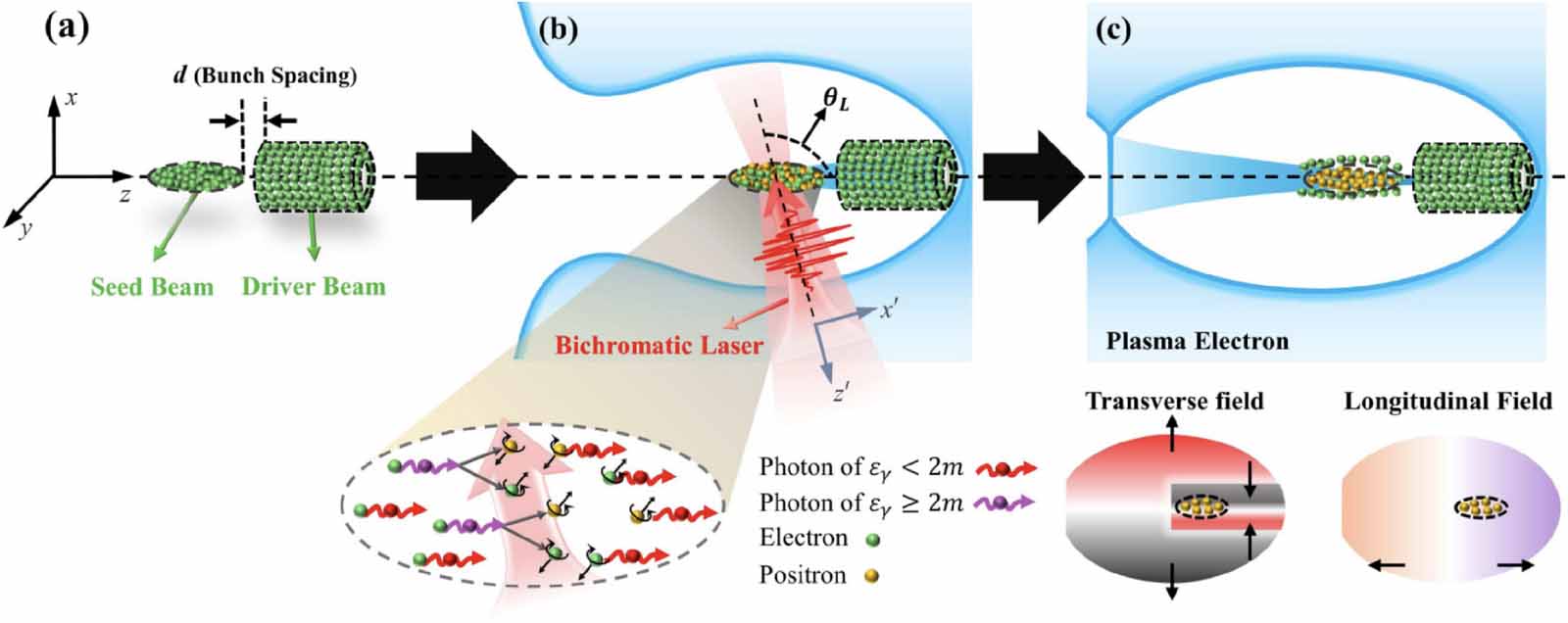 Plasma acceleration of polarized particle beams - IOPscience