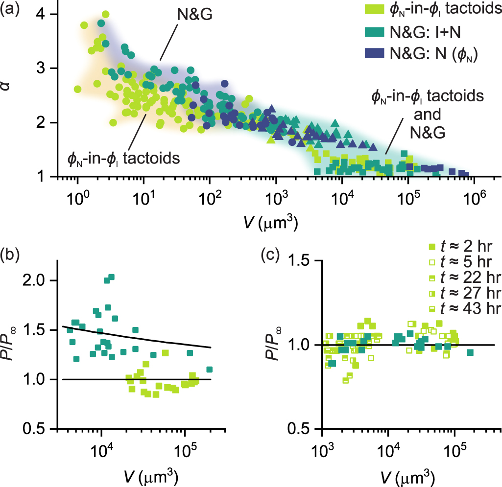 Liquid–liquid crystalline phase separation of filamentous colloids and ...
