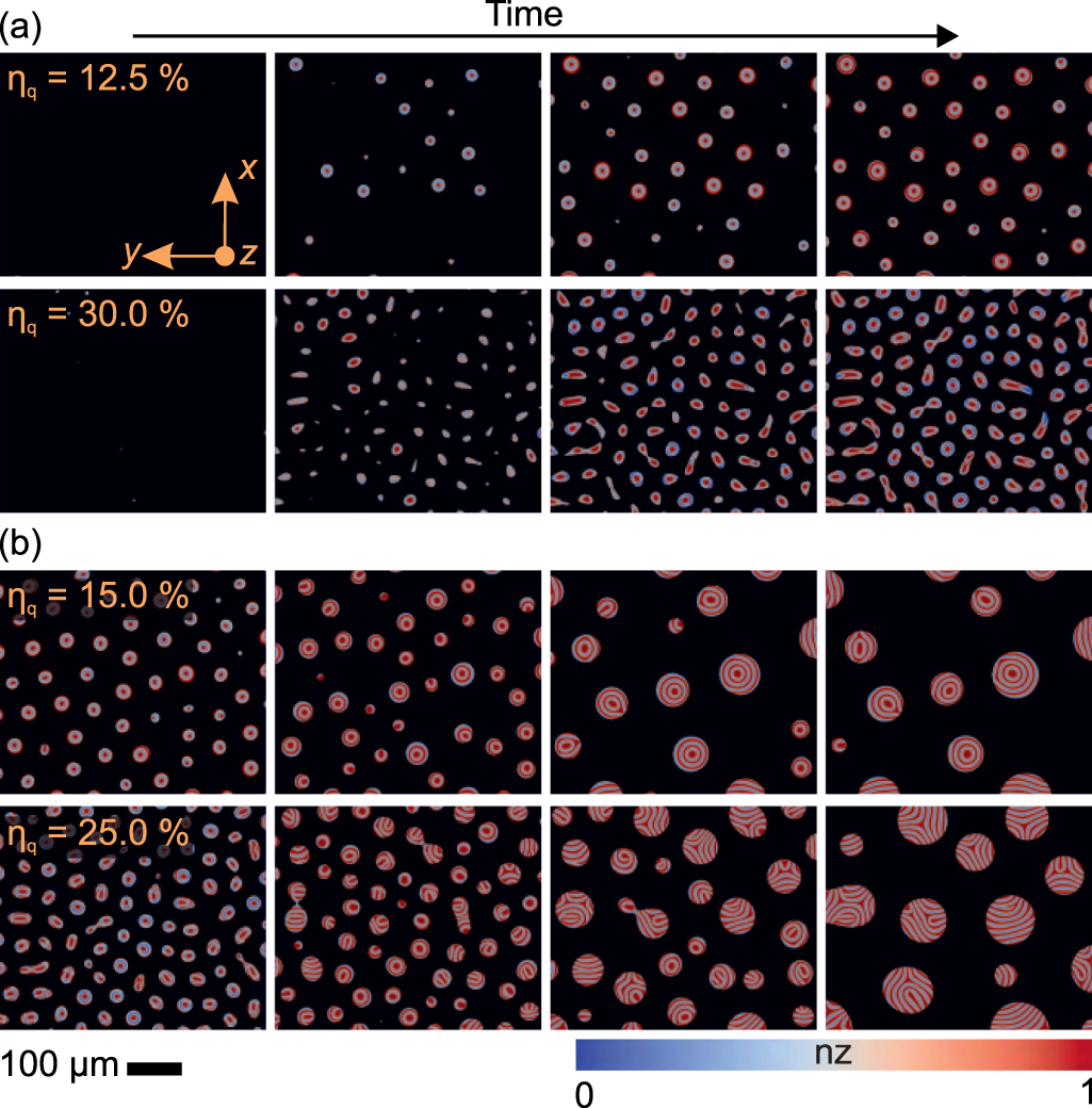 Liquid–liquid crystalline phase separation of filamentous colloids and ...