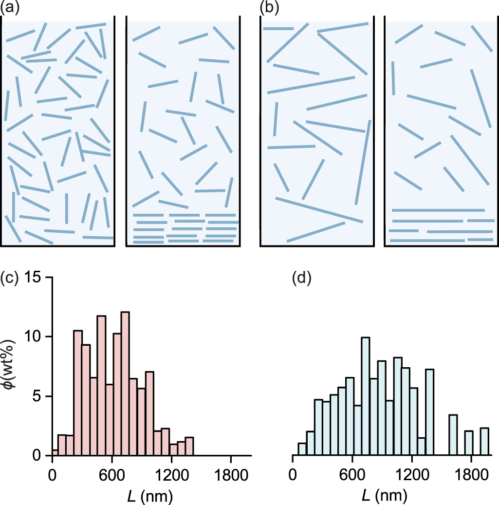 Liquid–liquid crystalline phase separation of filamentous colloids and semiflexible polymers ...