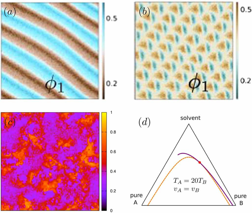 Active phase separation: new phenomenology from non-equilibrium physics ...