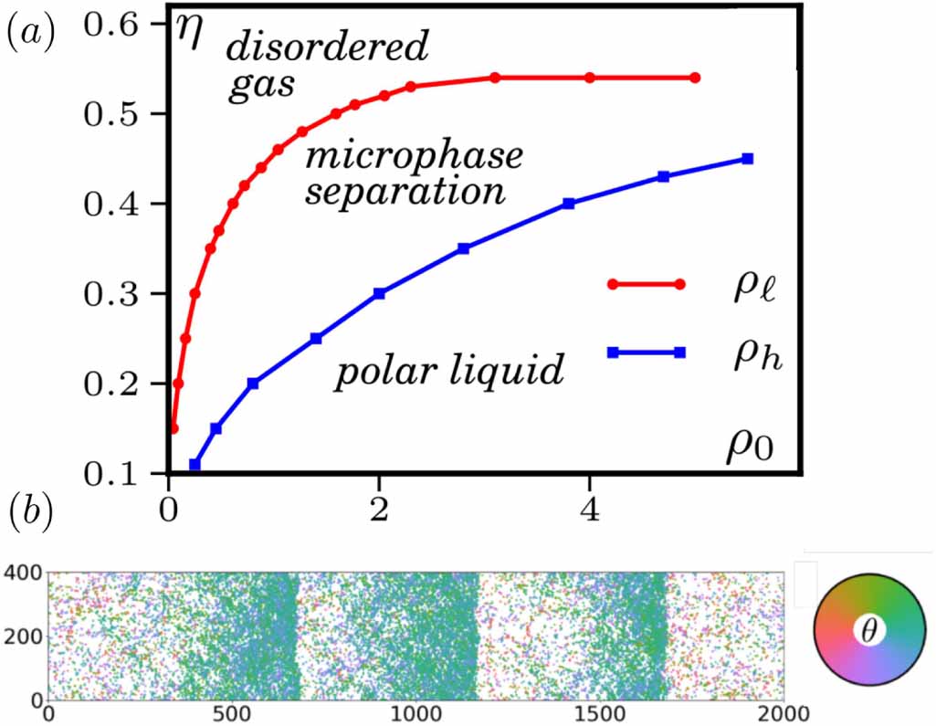 Active phase separation: new phenomenology from non-equilibrium physics ...