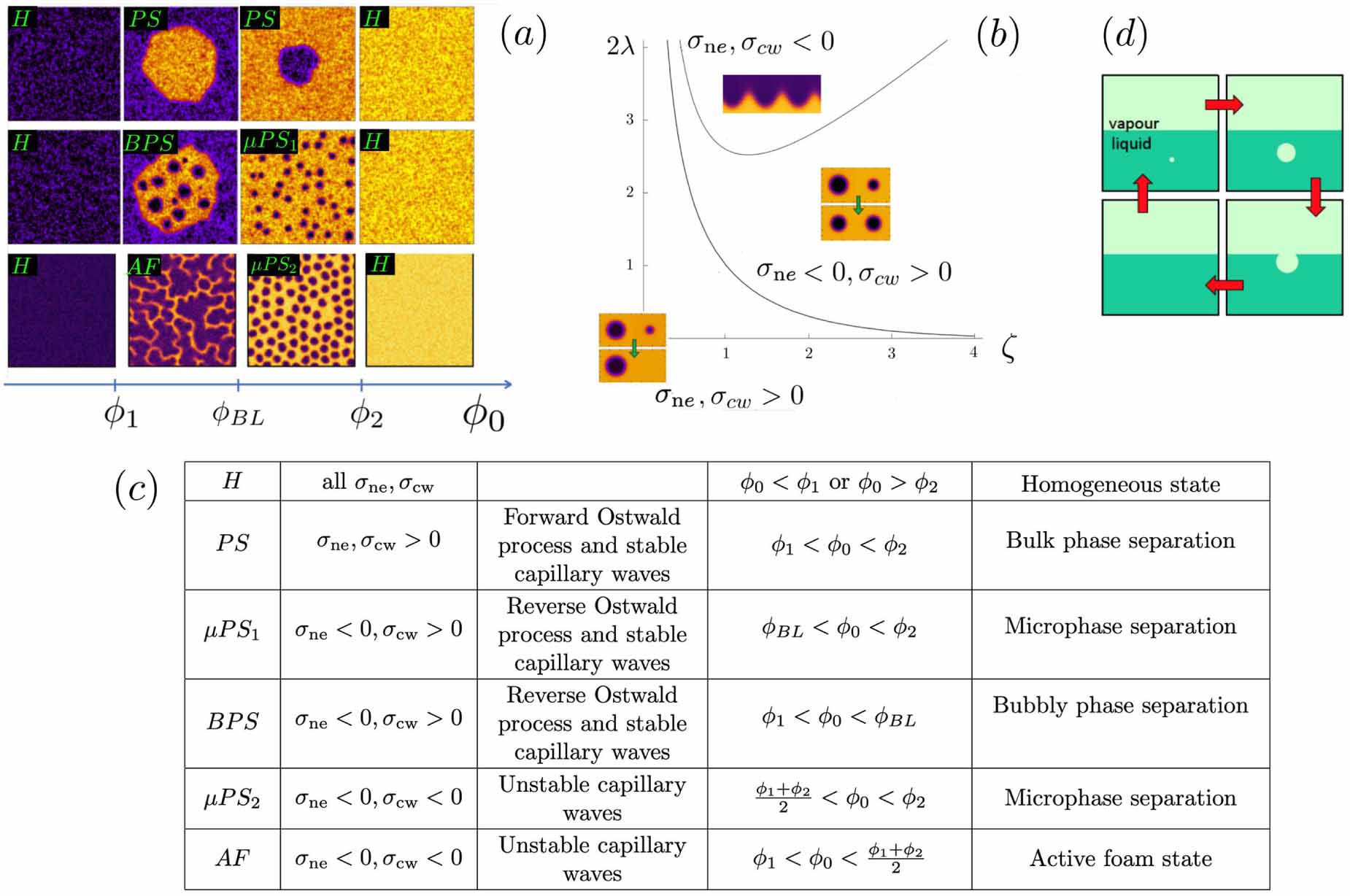 Active phase separation: new phenomenology from non-equilibrium physics ...