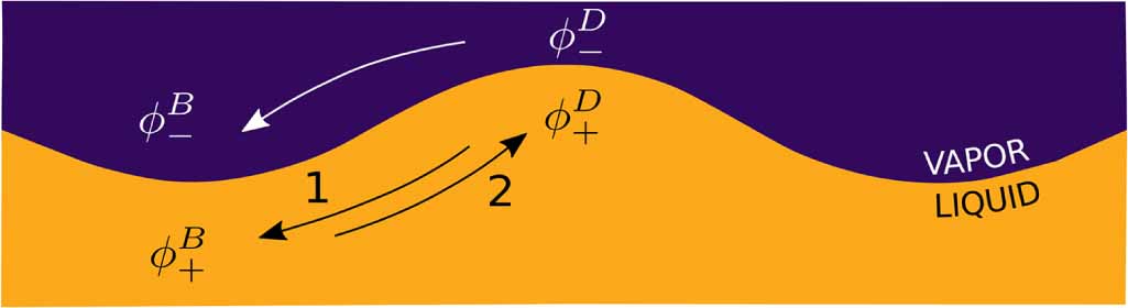 Active phase separation: new phenomenology from non-equilibrium physics ...