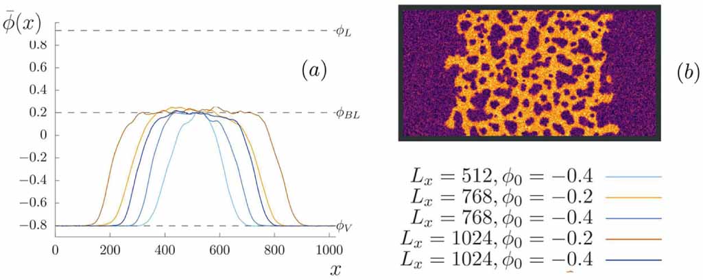 Active phase separation: new phenomenology from non-equilibrium physics ...