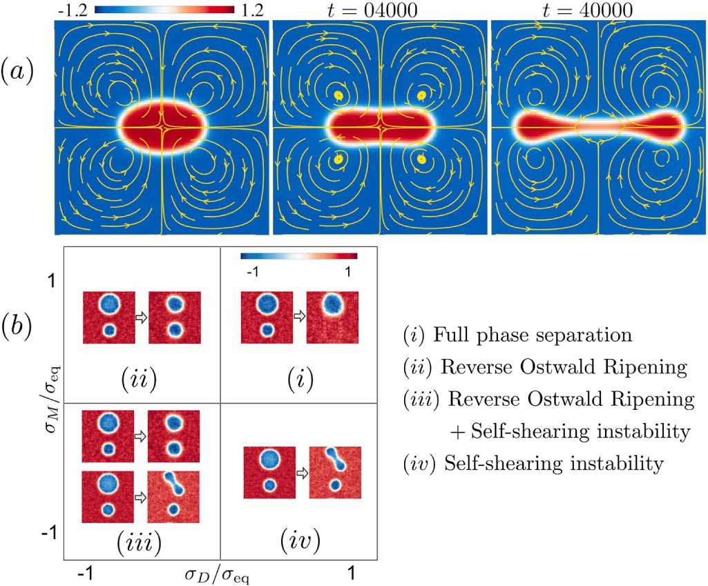 Active phase separation: new phenomenology from non-equilibrium physics ...