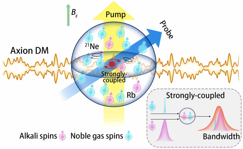 Dark matter search with a resonantly-coupled hybrid spin system ...
