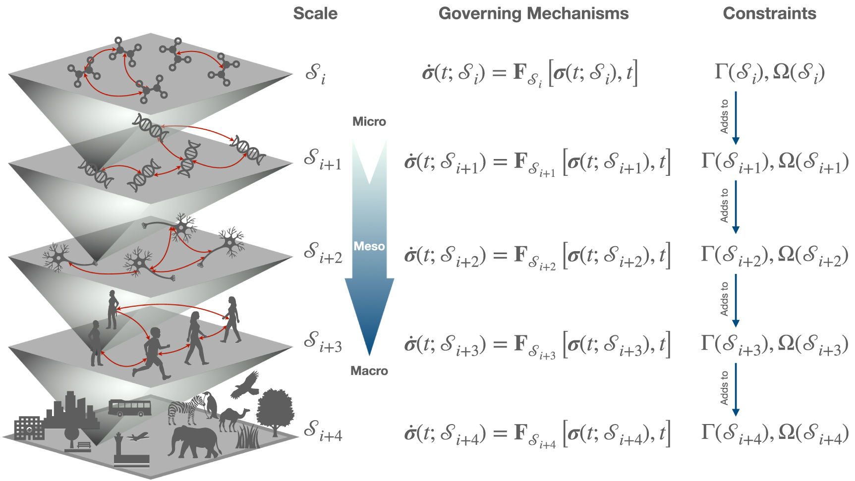 Decoding the architecture of living systems - IOPscience