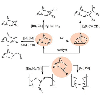 Norbornene, norbornadiene and their derivatives: promising semi ...