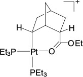 Norbornene, norbornadiene and their derivatives: promising semi ...