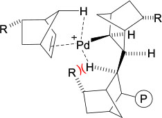 Norbornene, norbornadiene and their derivatives: promising semi ...