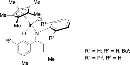 Norbornene, norbornadiene and their derivatives: promising semi ...