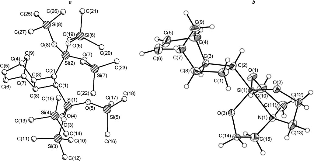 Norbornene, norbornadiene and their derivatives: promising semi ...