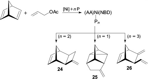 Norbornene, norbornadiene and their derivatives: promising semi ...