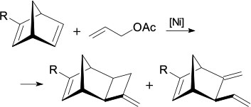 Norbornene, norbornadiene and their derivatives: promising semi ...