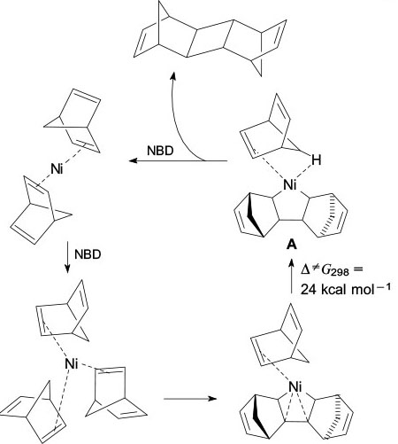 Norbornene, norbornadiene and their derivatives: promising semi ...