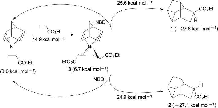 Norbornene, norbornadiene and their derivatives: promising semi ...
